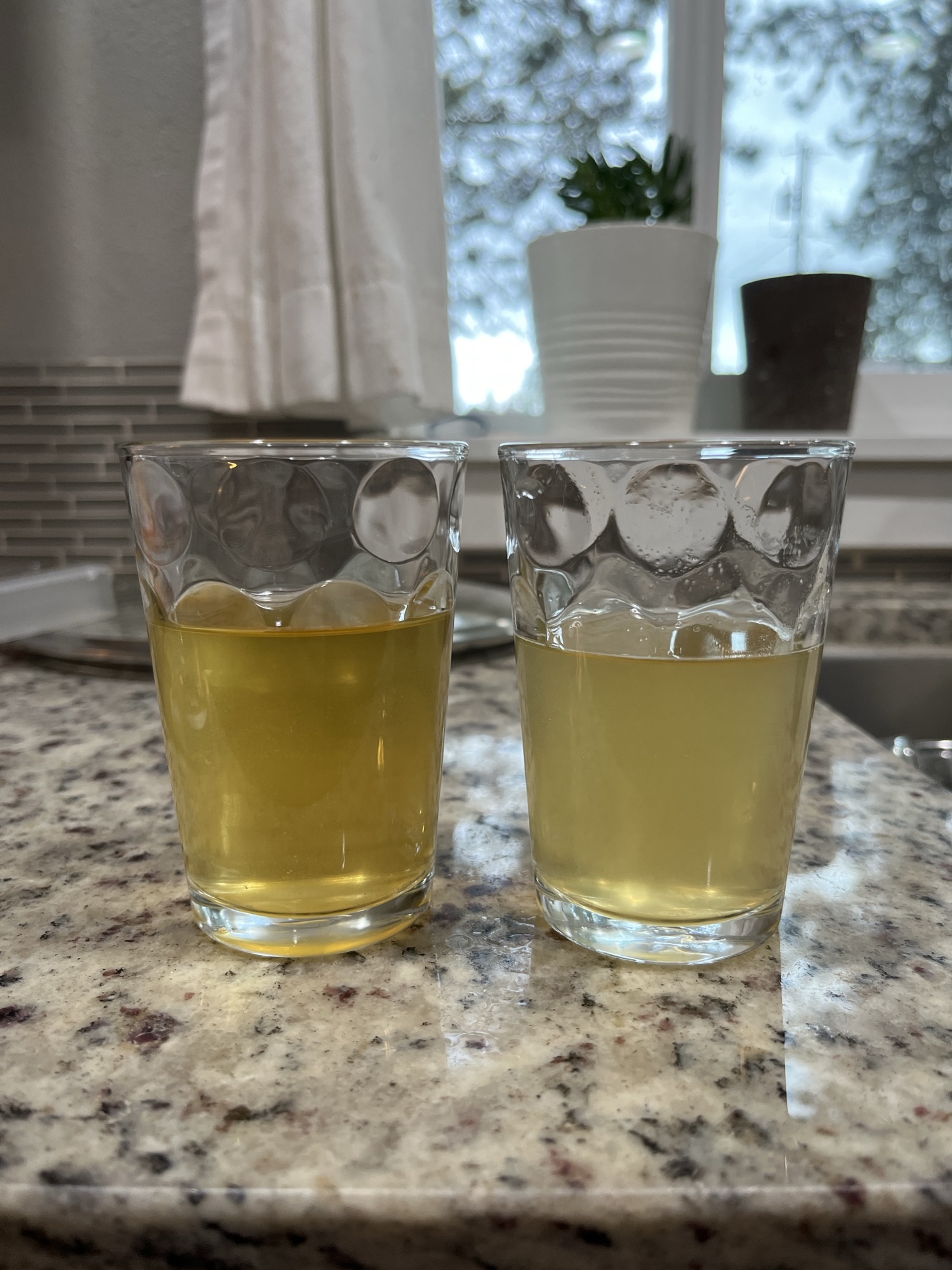 Corn Lager | Weiven Beer